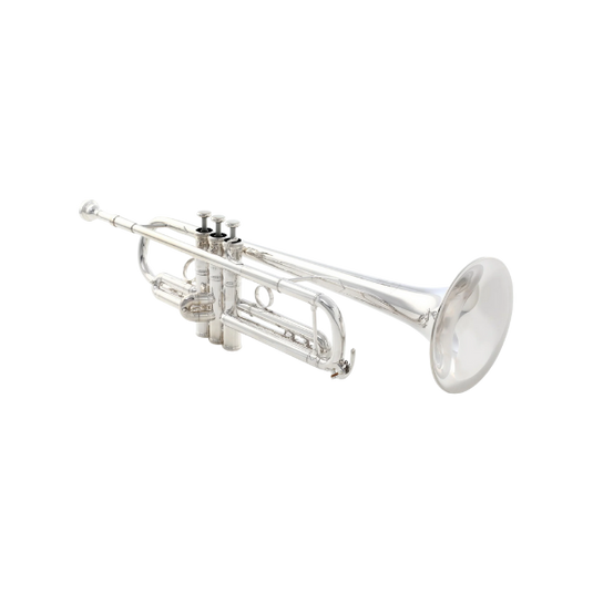 Band & Orchestra | LBS Music World Malaysia