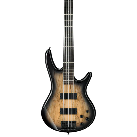 Bass Guitars | LBS Music World Malaysia
